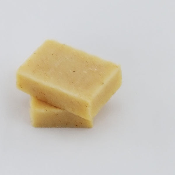 Natural Exfoliating Scented Bar Soap – the FRENCHEDUCATION